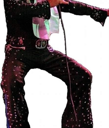 Welcome to Jimmy W. Johnson in the Spirit of Elvis